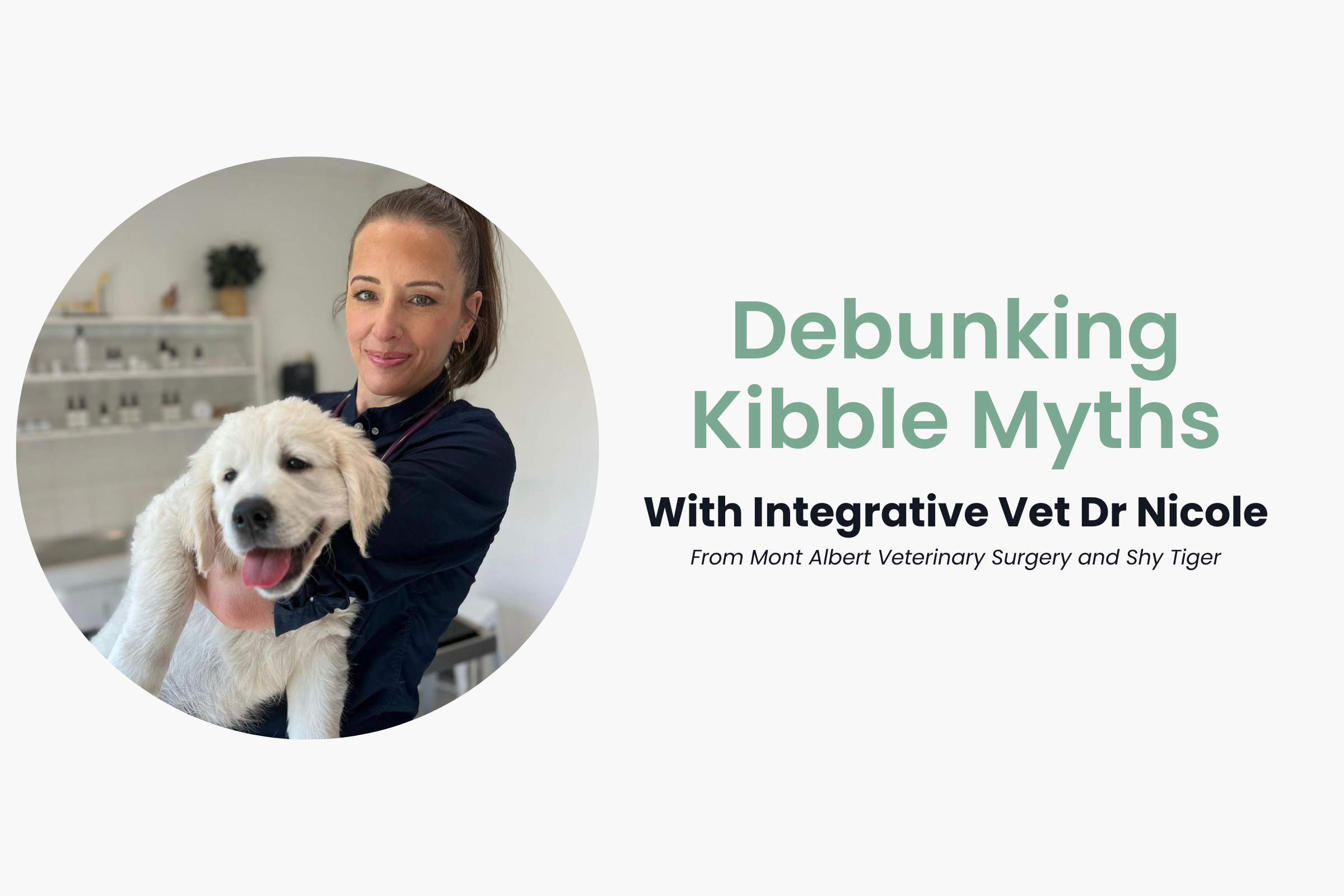 An Interview with Integrative Vet Dr. Nicole on Kibble Misconceptions ...